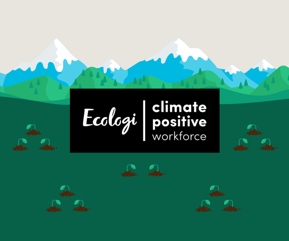 We’re a climate positive workforce! - Rareloop, Southampton UK